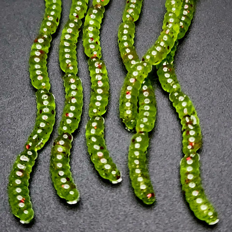 0.5" Inch Micro Maggot Fly Larvae "The Apple Maggot" – Creek Life Lure Co.
