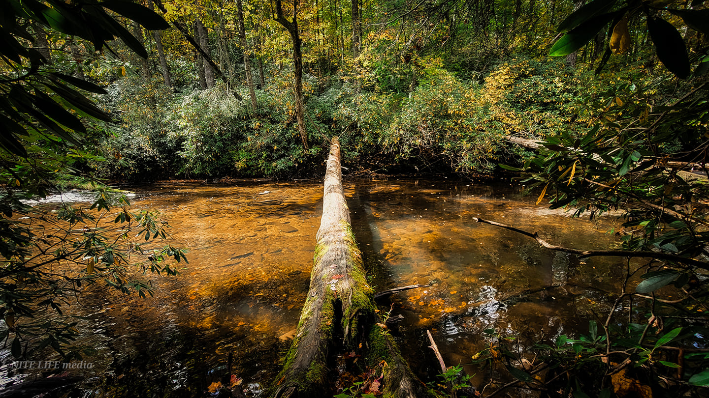 Creek Life Lure Co. - Unleash the Thrill of Small Stream Fishing