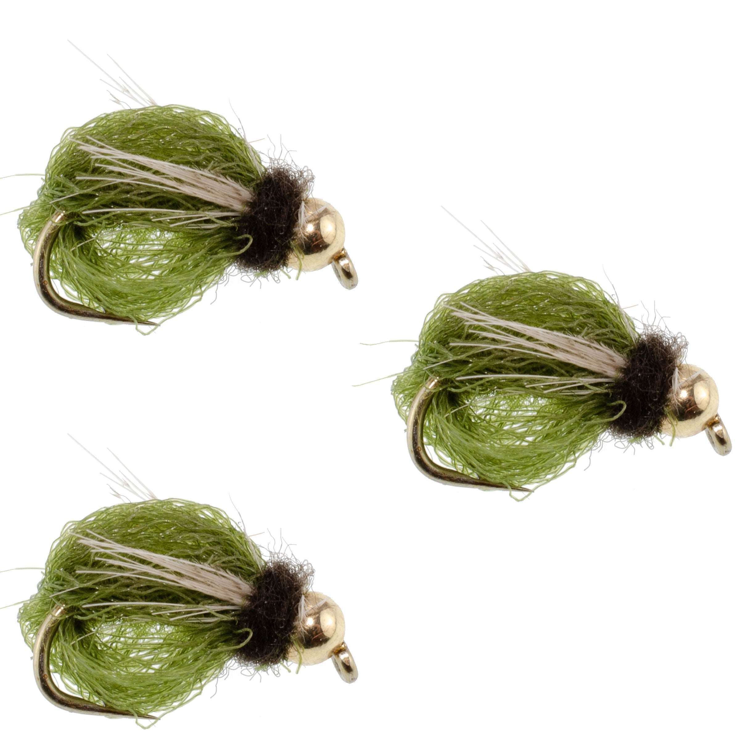 3 Pack LaFontaine Olive Deep Sparkle Caddis Pupa - Hook Size 18 – Creek ...