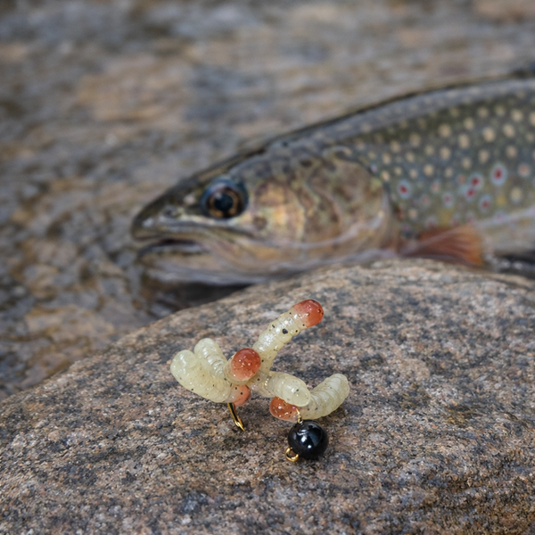 0.5" Realistic Maggot "The Apple Maggot" (20 Pack) – Creek Life Lure Co.