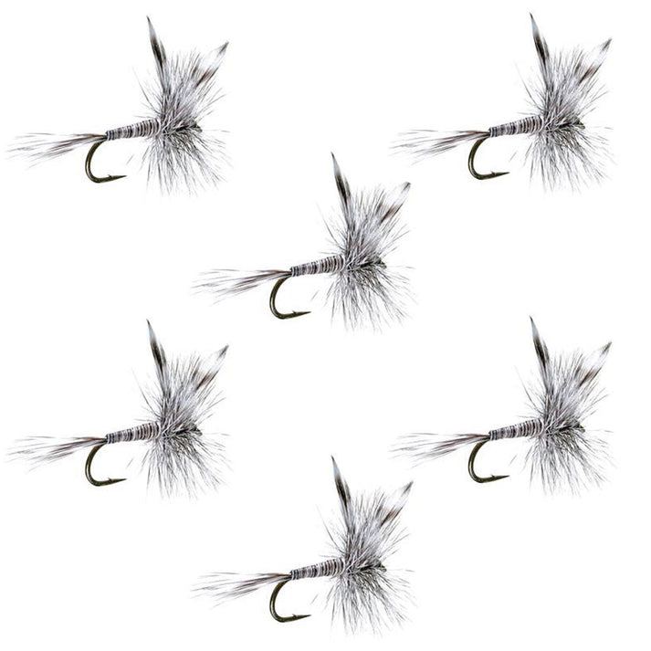 Mosquito Classic Trout Dry Fly Fishing Flies - Set of 6 Flies Size 18 ...